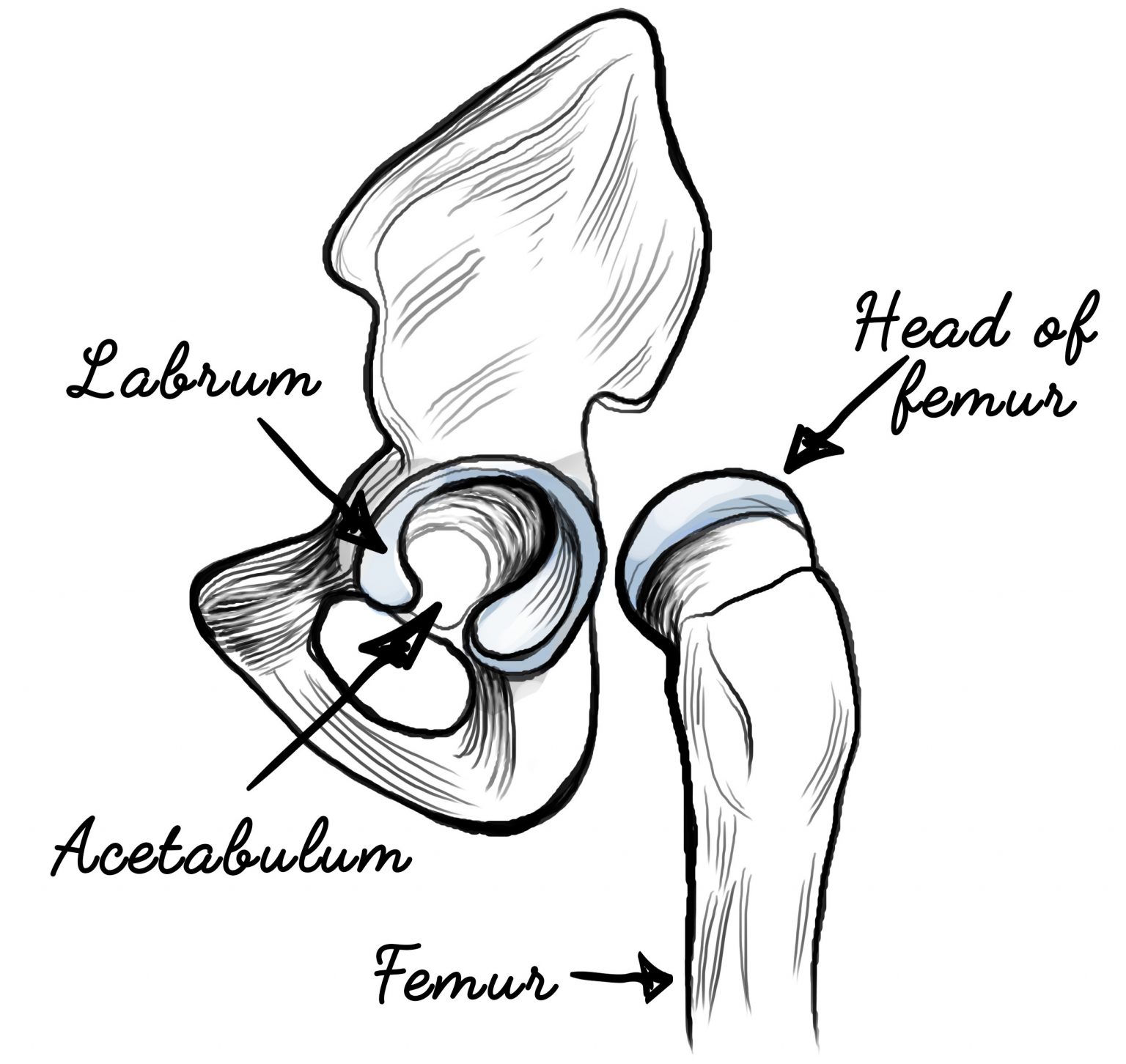 The Most Common Yoga Injuries and How You Can Avoid Them. Part III ...