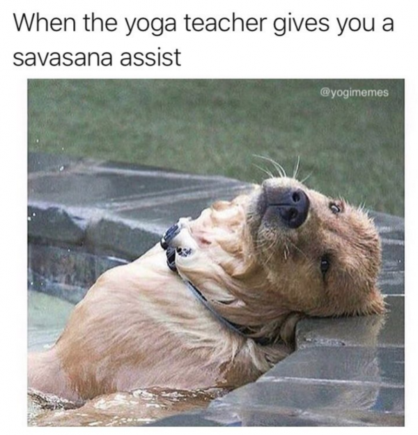Meet Pedro Luna, the Creator of @yogimemes — Shut Up & Yoga