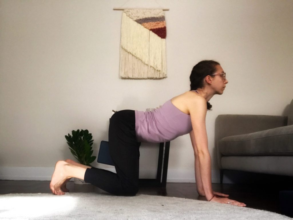 Anatomy of Breath: Forward Folds and Backbends — Shut Up & Yoga